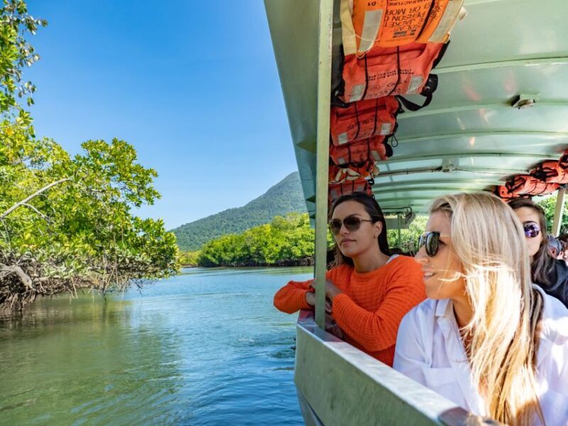 Port Douglas: Daintree Rainforest and Cape Tribulation Tour - Authentic Experiences Highlighted by Reviewers