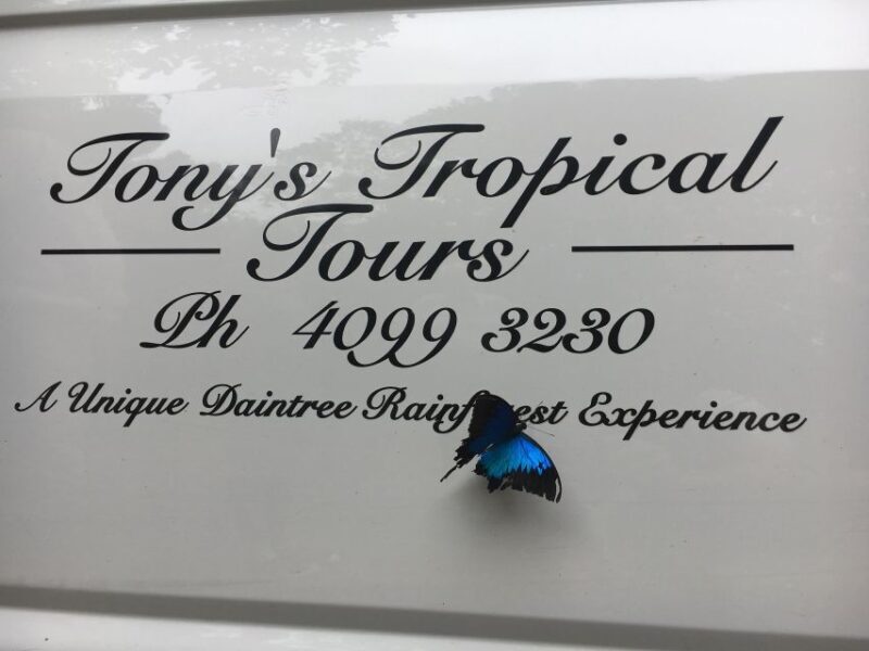 Port Douglas: Daintree Rainforest and Mossman Gorge Tour - Authentic Experiences & What Travelers Say