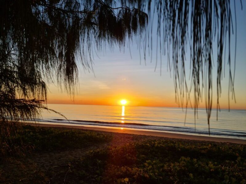 Port Douglas: Daintree Rainforest and Mossman Gorge Tour - Who Will Love This Tour?