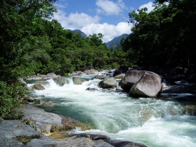 Port Douglas: Daintree Rainforest and Mossman Gorge Tour - Frequently Asked Questions