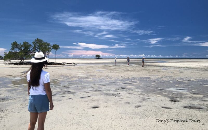 Port Douglas: Daintree Rainforest and Mossman Gorge Tour - Final Thoughts