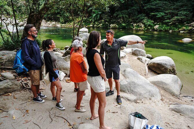 Port Douglas & Daintree Tour for Cruise Ship Passenger - An In-Depth Look at the Tour Experience