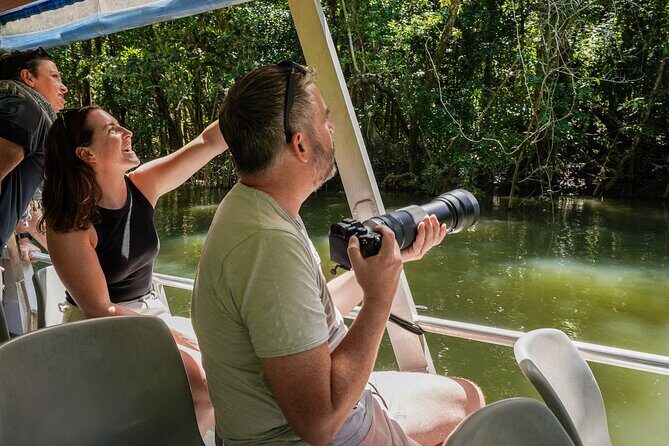 Port Douglas & Daintree Tour for Cruise Ship Passenger - The Bottom Line