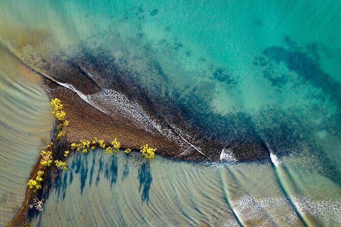 Port Douglas Day Tour from Cairns - A Detailed Look at What to Expect