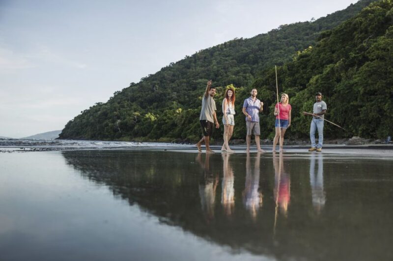 Port Douglas: Full Day Daintree Cultural Tour with Lunch - Who Is This Tour Best Suited For?