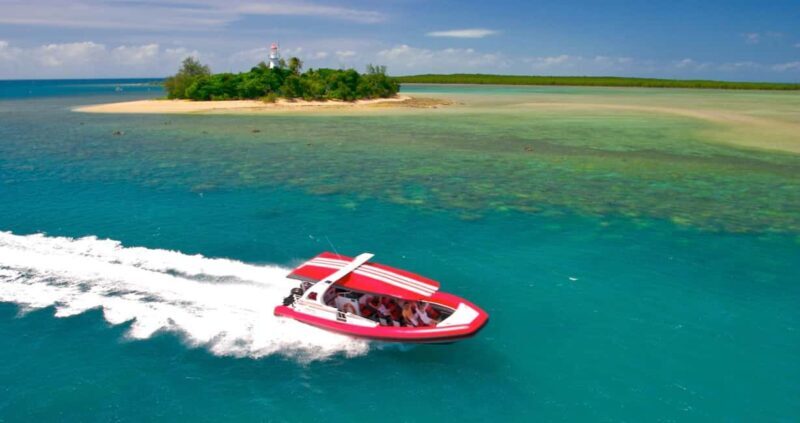 Port Douglas: Half-Day Low Island and Lagoon Snorkeling Tour - What to Expect on the Tour