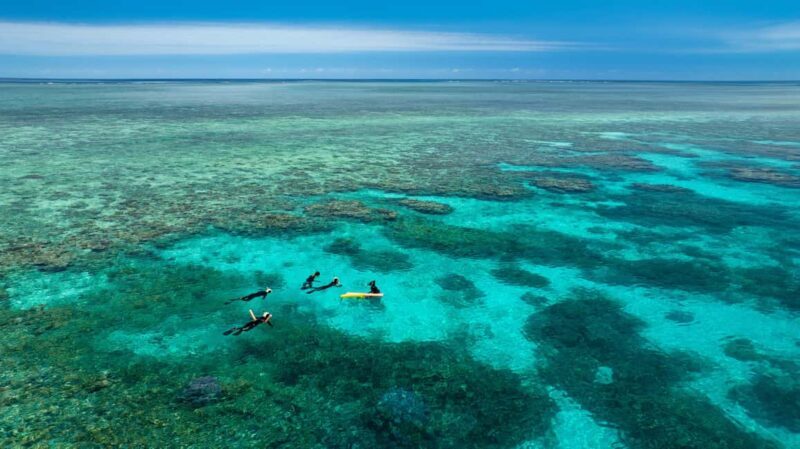Port Douglas: Just 12 Passengers Guided Snorkel Reef Cruise - The Value of the Tour