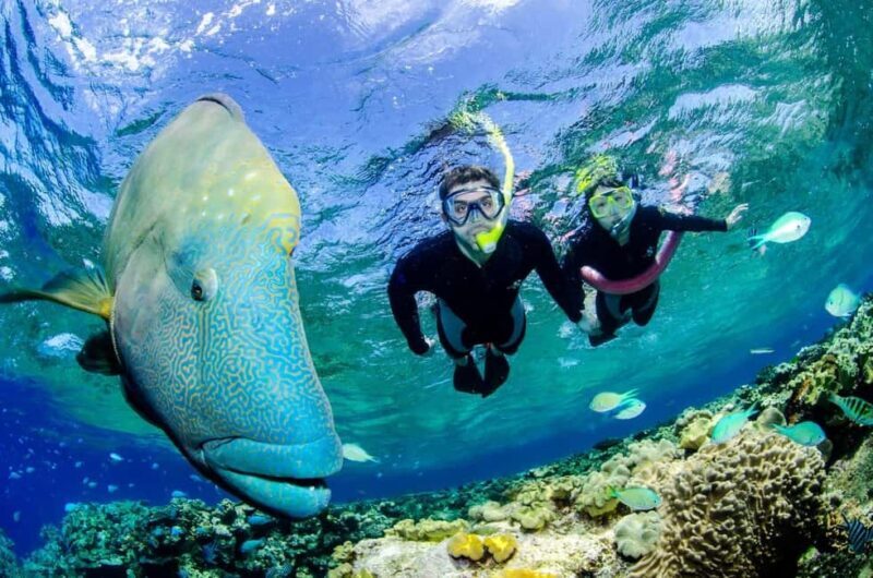 Port Douglas: Just 12 Passengers Guided Snorkel Reef Cruise - Who Should Consider This Tour?
