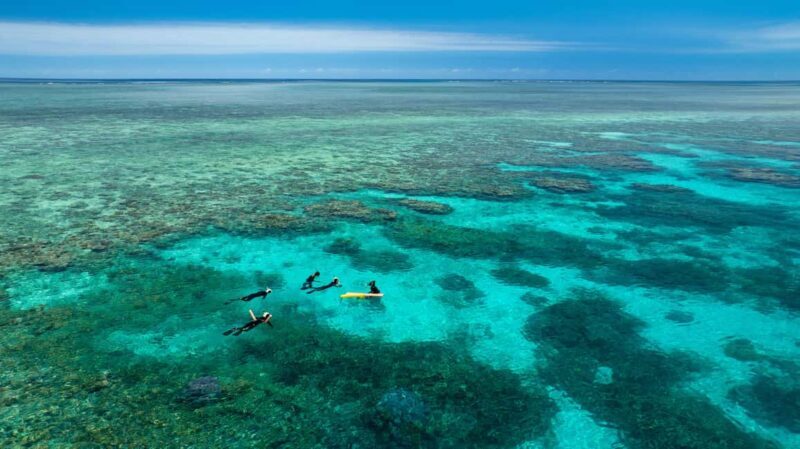 Port Douglas: Just 12 Passengers Guided Snorkel Reef Cruise - Final Thoughts