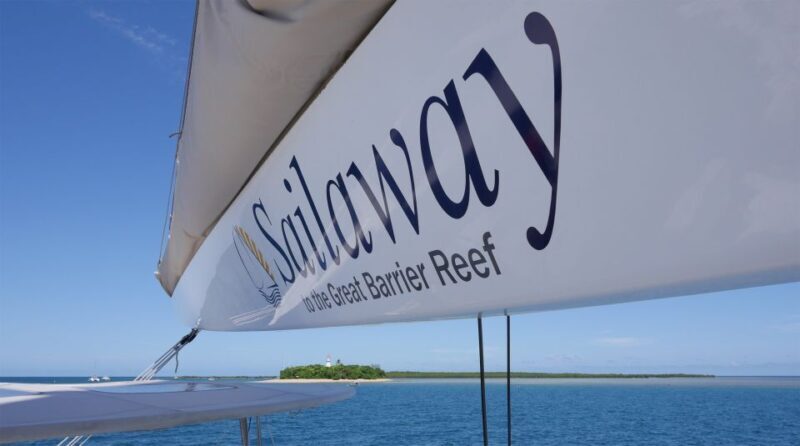Port Douglas: Low Isles Afternoon Cruise on Luxury Catamaran - Low Isles: The Heart of the Experience