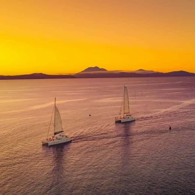 Port Douglas: Low Isles Afternoon Cruise on Luxury Catamaran - Sunset Sail and Canapés: The Grand Finale