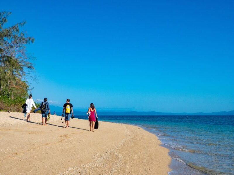 Port Douglas: Low Isles Glass Bottom Boat & Snorkeling Tour - Setting the Scene: A Scenic Journey to the Low Isles