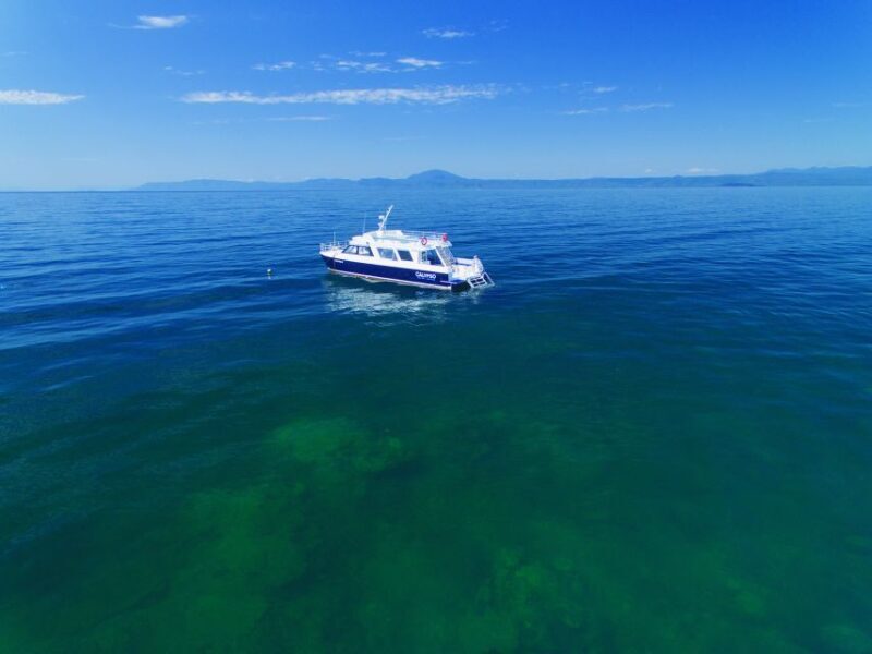 Port Douglas: Low Isles Glass Bottom Boat & Snorkeling Tour - Food, Drinks, and Comfort