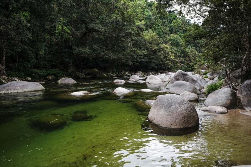 Port Douglas: Morning Daintree Tour w/ Wildlife Cruise - The Itinerary and Its Flow