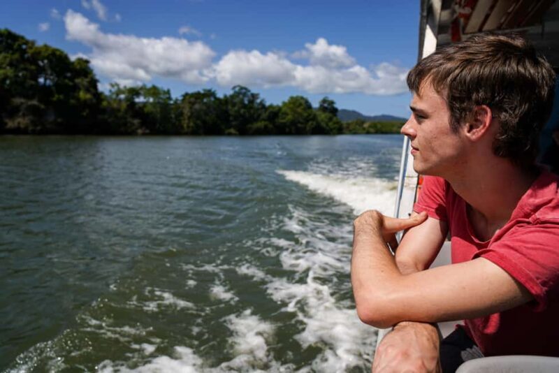 Port Douglas: Morning Daintree Tour w/ Wildlife Cruise - Authenticity and Value