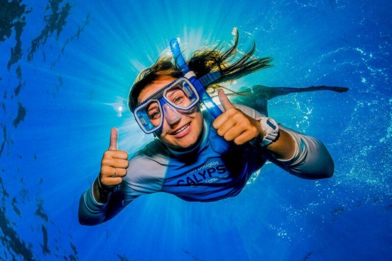 Port Douglas: Outer Barrier Reef Snorkel and Dive Options - Key Points