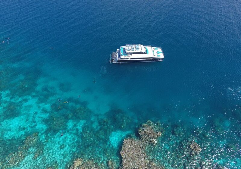 Port Douglas: Outer Barrier Reef Snorkel and Dive Options - Discovering the Outer Great Barrier Reef from Port Douglas