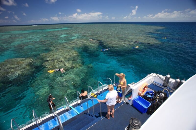 Port Douglas: Outer Barrier Reef Snorkel and Dive Options - The Experience on Deck