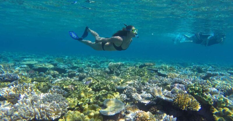 Port Douglas: Outer Barrier Reef Snorkel and Dive Options - FAQs About the Port Douglas Reef Tour