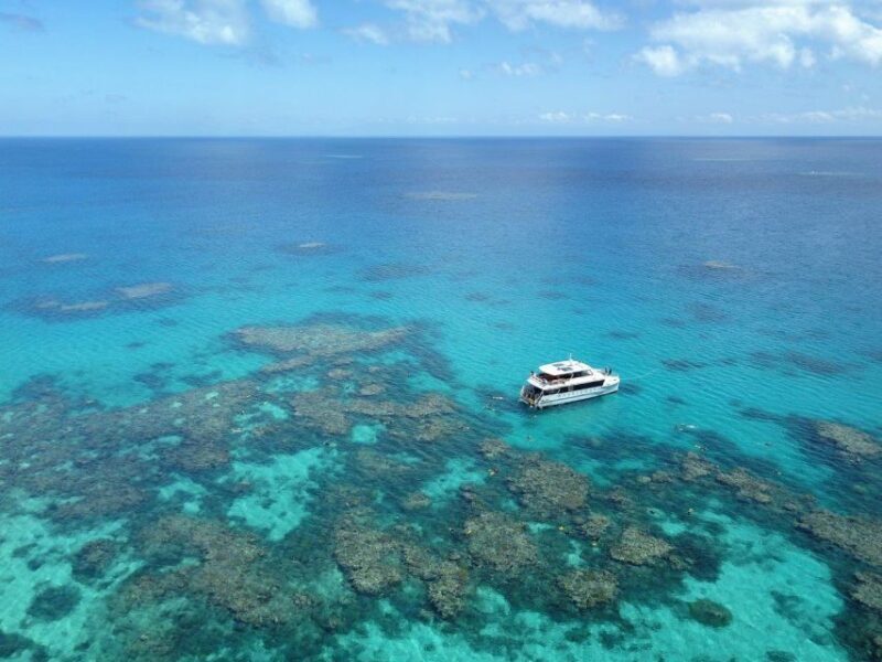 Port Douglas: Outer Great Barrier Reef Snorkeling Cruise - The Itinerary in Detail: What to Expect