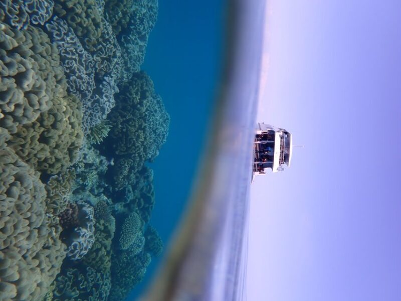 Port Douglas: Outer Great Barrier Reef Snorkeling Cruise - FAQ