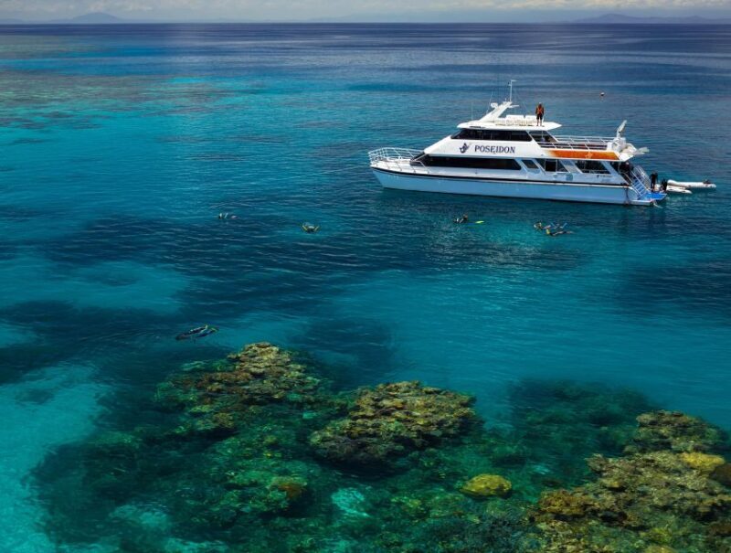 Port Douglas: Poseidon Outer Barrier Reef Dive and Snorkel - Key Points