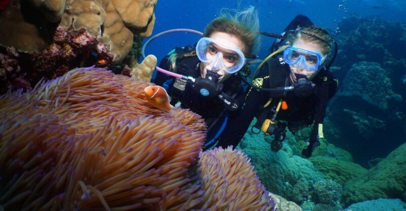 Port Douglas: Poseidon Outer Barrier Reef Dive and Snorkel - Initial Impressions and Booking Considerations