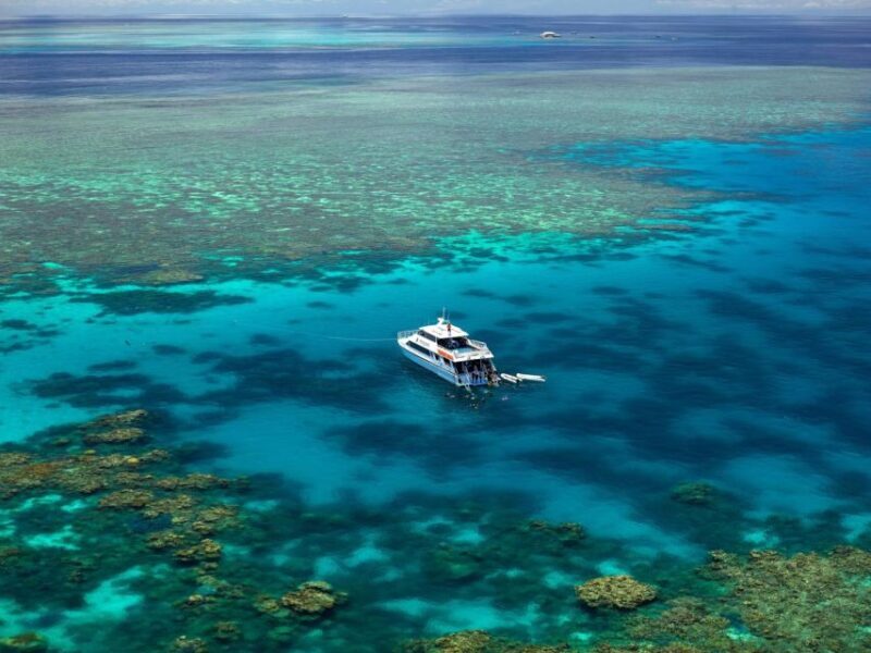 Port Douglas: Poseidon Outer Barrier Reef Dive and Snorkel - The Educational Element and Guide Expertise