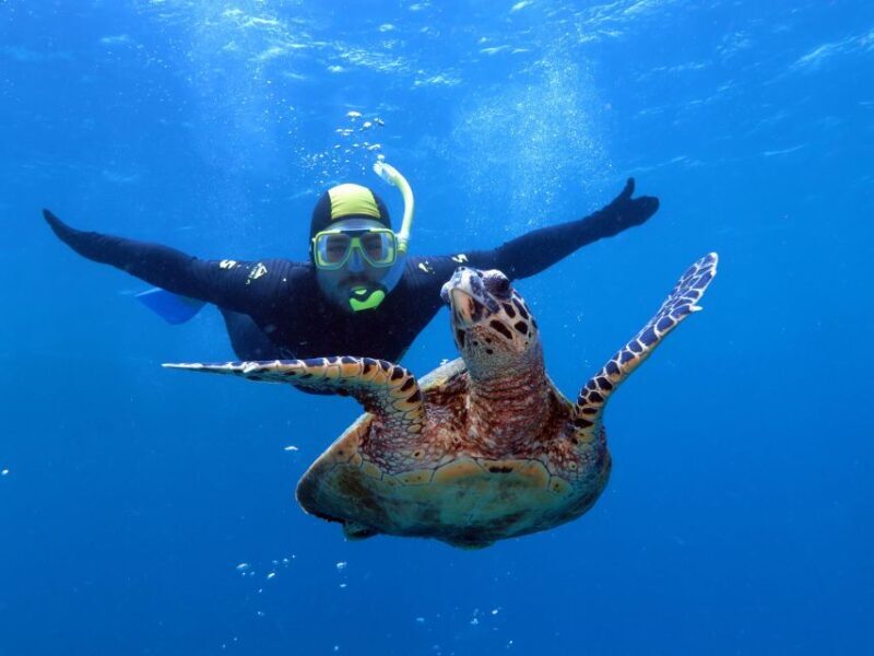 Port Douglas: Poseidon Outer Barrier Reef Dive and Snorkel - Final Thoughts