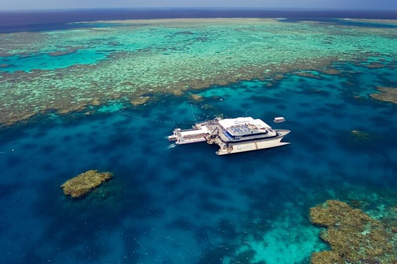 Port Douglas: Quicksilver Outer Barrier Reef Full-Day Cruise - Key Points