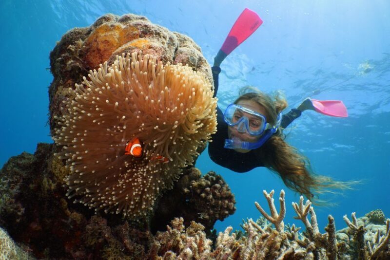 Port Douglas: Quicksilver Outer Barrier Reef Full-Day Cruise - The Overall Experience: What Travelers Say