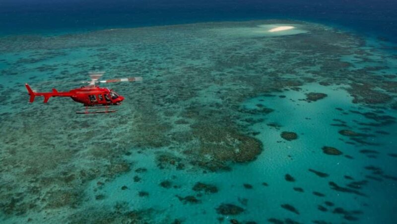 Port Douglas: Reef & Rain 60-Minute Helicopter Scenic Flight - Port Douglas: Reef & Rainforest 60-Minute Helicopter Scenic Flight — An Authentic Aerial Adventure