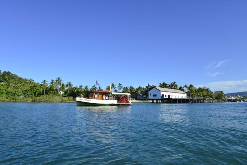 Port Douglas: River Cruise, Crocodile Spotting, Drink/ Snack - The Drawbacks and Considerations