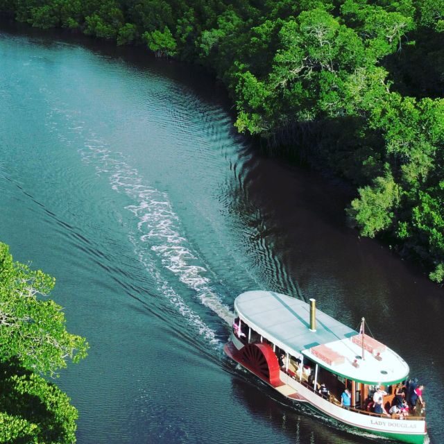 Port Douglas: River Cruise, Crocodile Spotting, Drink/ Snack - The Value of the Experience