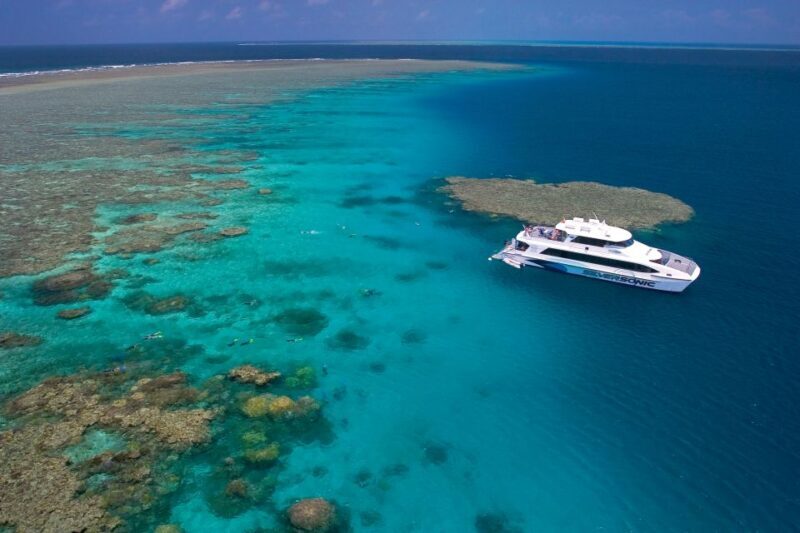Port Douglas: Silversonic Great Barrier Reef Dive & Snorkel - Evaluating the Value