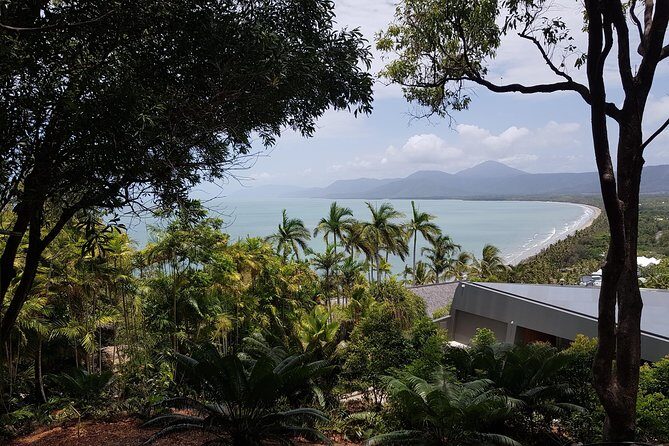 Port Douglas Sunday Markets Day Tour - Final Thoughts