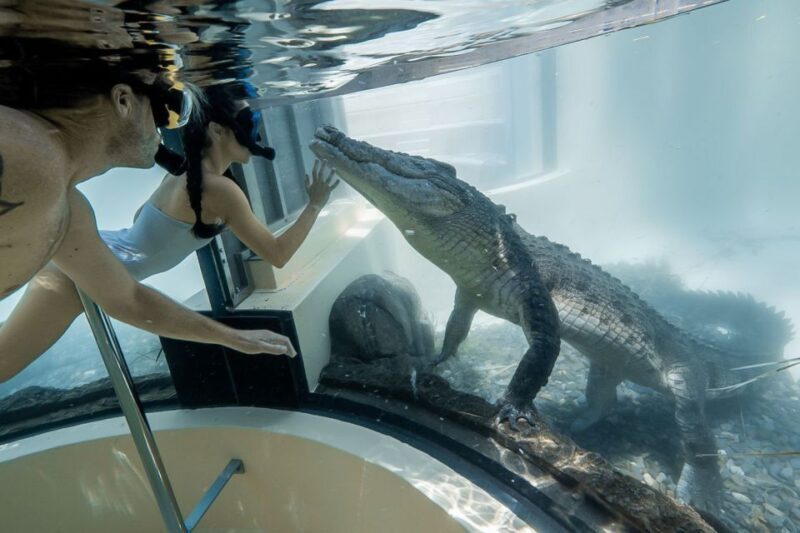 Port Douglas: Wildlife Habitat Swim with Crocodiles - The Value of the Experience