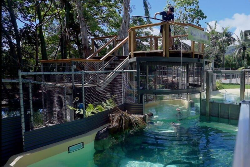 Port Douglas: Wildlife Habitat Swim with Crocodiles - FAQ – Practical Questions About the Croc Swim