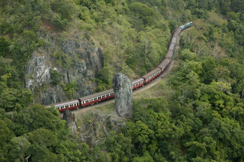 Port Douglas: World Heritage Forest by Skyrail & Scenic Rail - Authentic Experiences and Honest Feedback