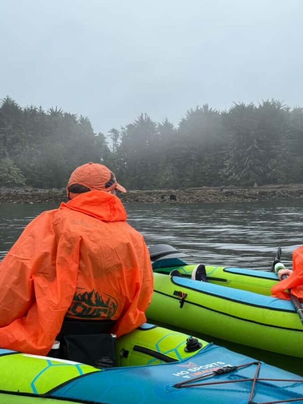 Port Hardy: Keogh River Bear/Wildlife Kayak Tour - Key Points