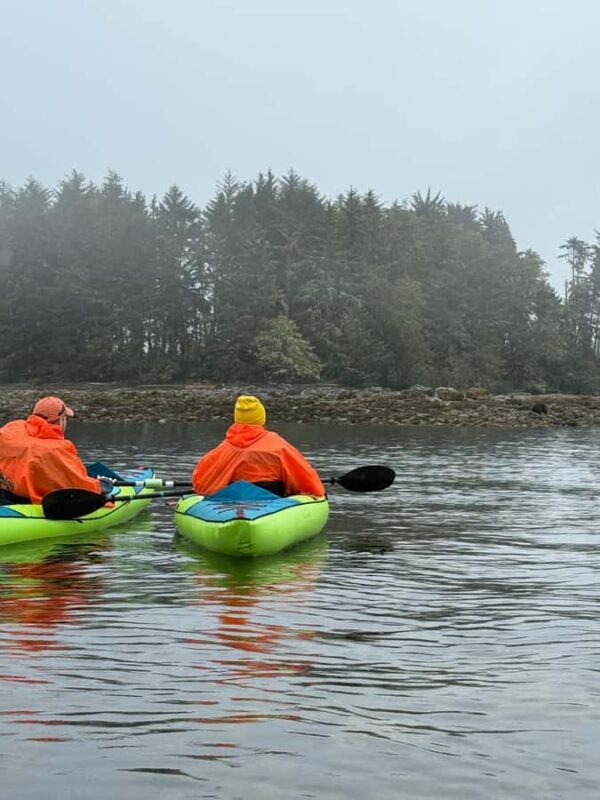 Port Hardy: Keogh River Bear/Wildlife Kayak Tour - A Closer Look at the Experience