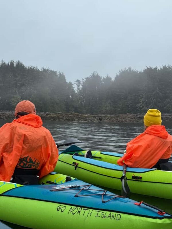 Port Hardy: Keogh River Bear/Wildlife Kayak Tour - FAQ