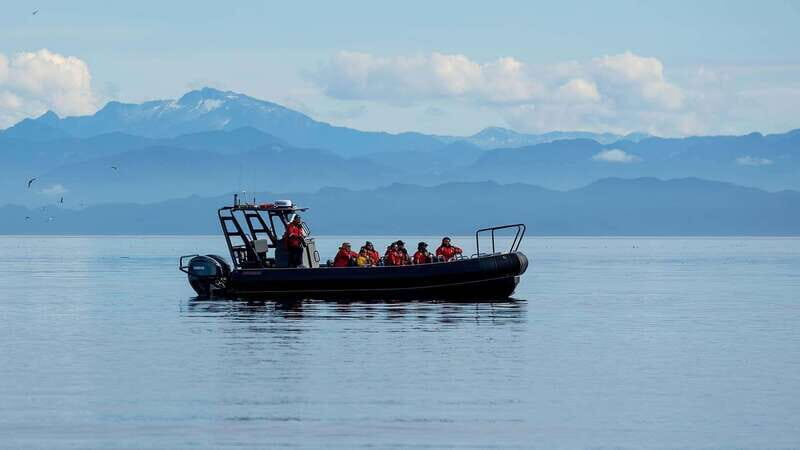 Port Hardy: Sea Otter and Whale Watching - Starting Point and Logistics