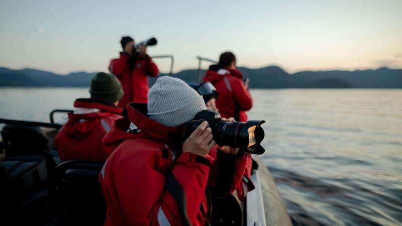 Port Hardy: Sea Otter and Whale Watching - Weather and Wildlife Conditions