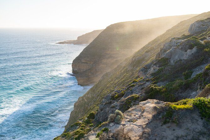Port Lincoln Full-day Exploration Tour - An Honest Look at the Full-Day Port Lincoln Tour