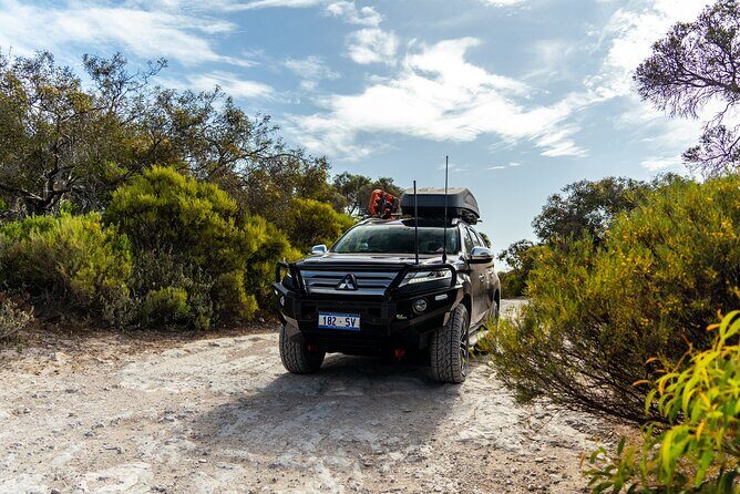 Port Lincoln Full-day Exploration Tour - Who Is This Tour For?