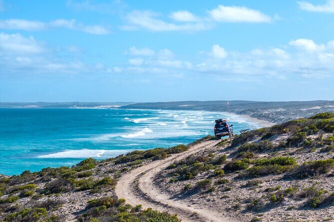 Port Lincoln National Park Half day Tour - An In-Depth Look at the Port Lincoln National Park Half-Day Tour