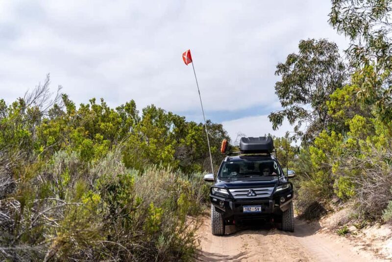 Port Lincoln: Wildlife and Sightseeing Full-Day 4WD Tour - Why Travelers Recommend This Tour