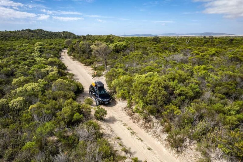 Port Lincoln: Wildlife and Sightseeing Full-Day 4WD Tour - Final Thoughts