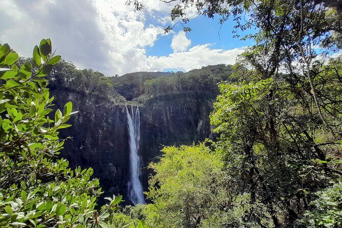 Port Macquarie day tour to Ellenborough Falls & Comboyne Rock - Key Points